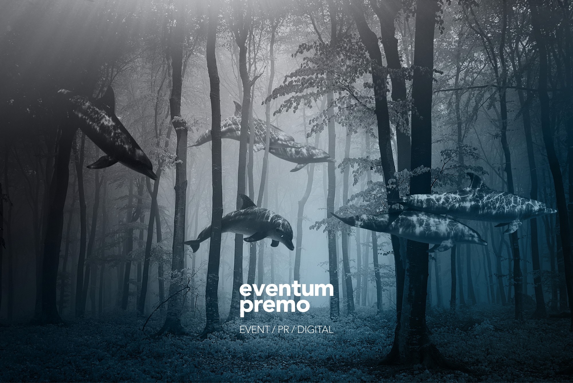 О компании Eventum Premo | Eventum Premo